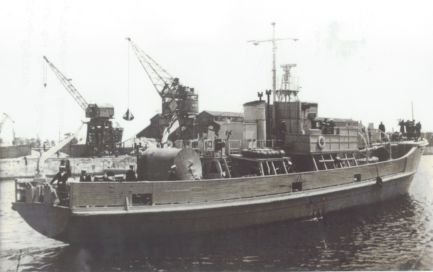 MMS 261 – Flying Fox Association