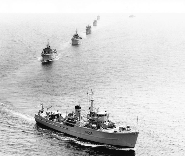 10th MCMS – Flying Fox Association