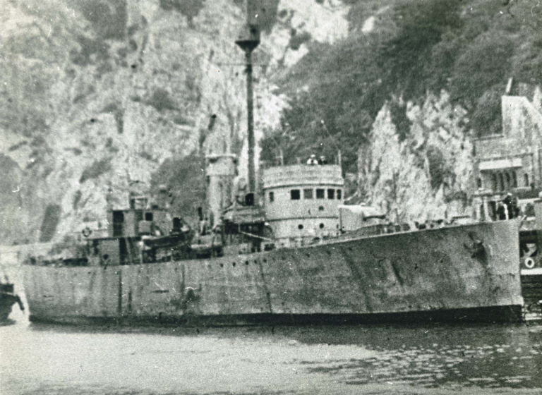 1921 HMS FLYING FOX – Flying Fox Association